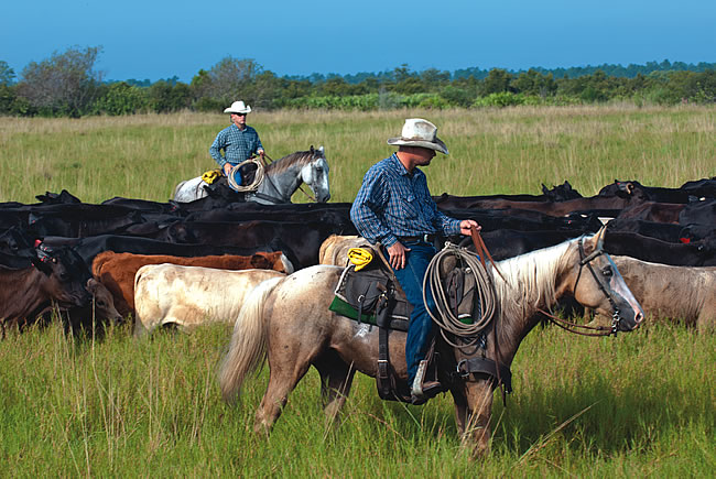 Back at Babcock Ranch with developer Syd Kitson in SW Florida - Florida ...