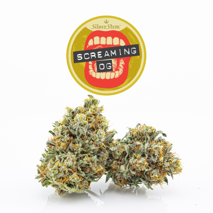 SILVER STEM: Screaming OG | Leafly