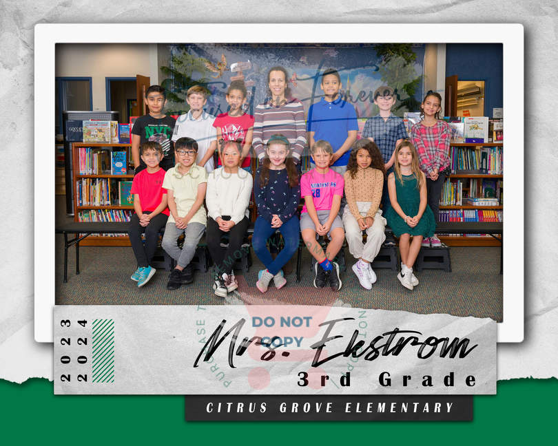 Citrus Grove Elementary Class Photos 2023-2024 - Find My Portraits ...