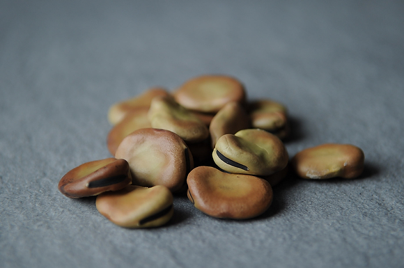 Have You Ever Tried Fava Beans? | jovinacooksitalian