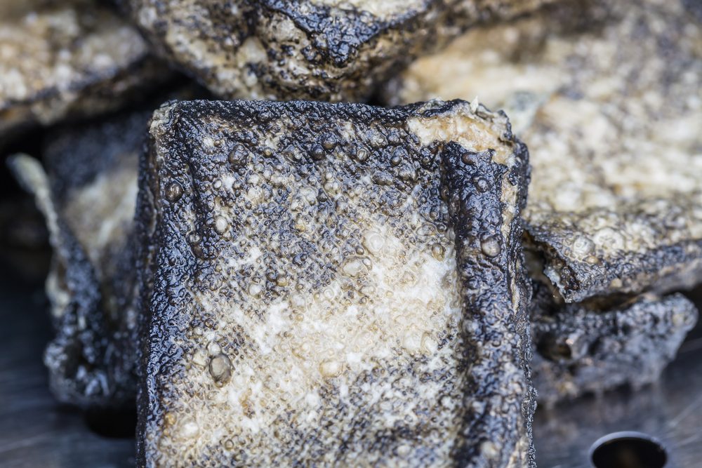 20 Super Tasty Fermented Treats That Are Good For Your Gut