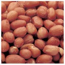 Spanish Redskin Salted Oil Roasted Peanut