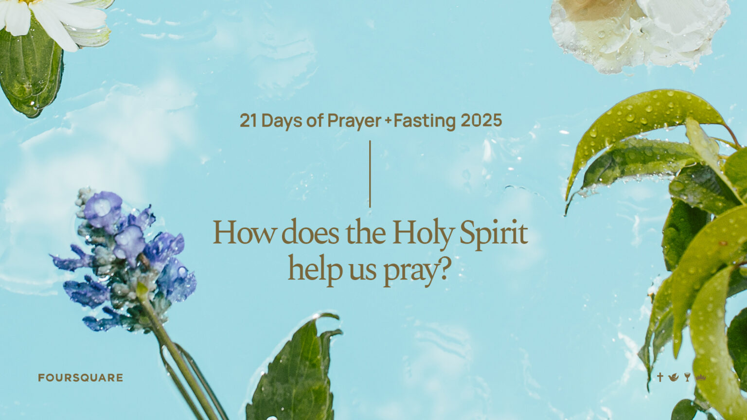 How does the Holy Spirit help us pray? - News + Resources