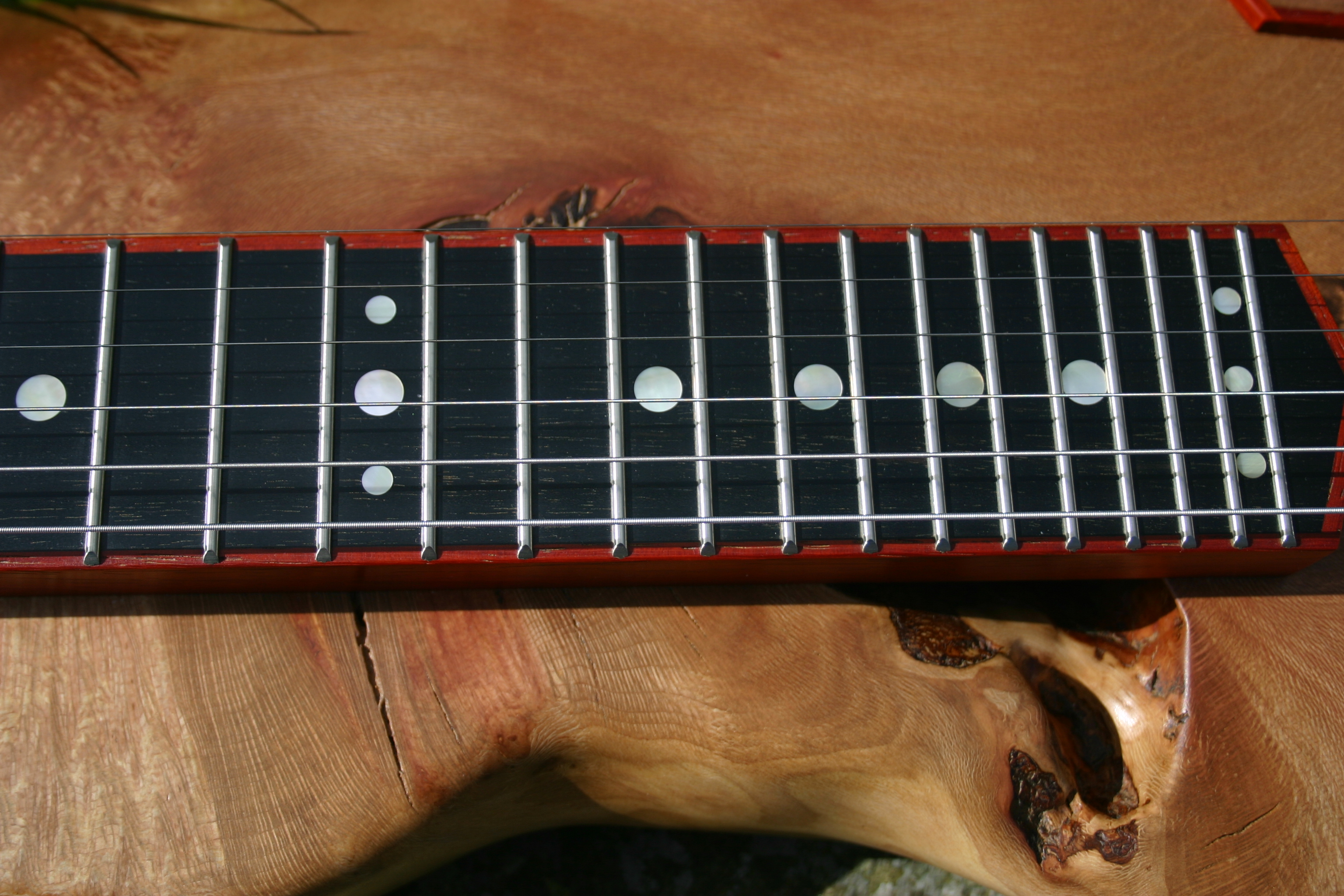 Lap Steel Guitar Fretboard at Geri Hodge blog
