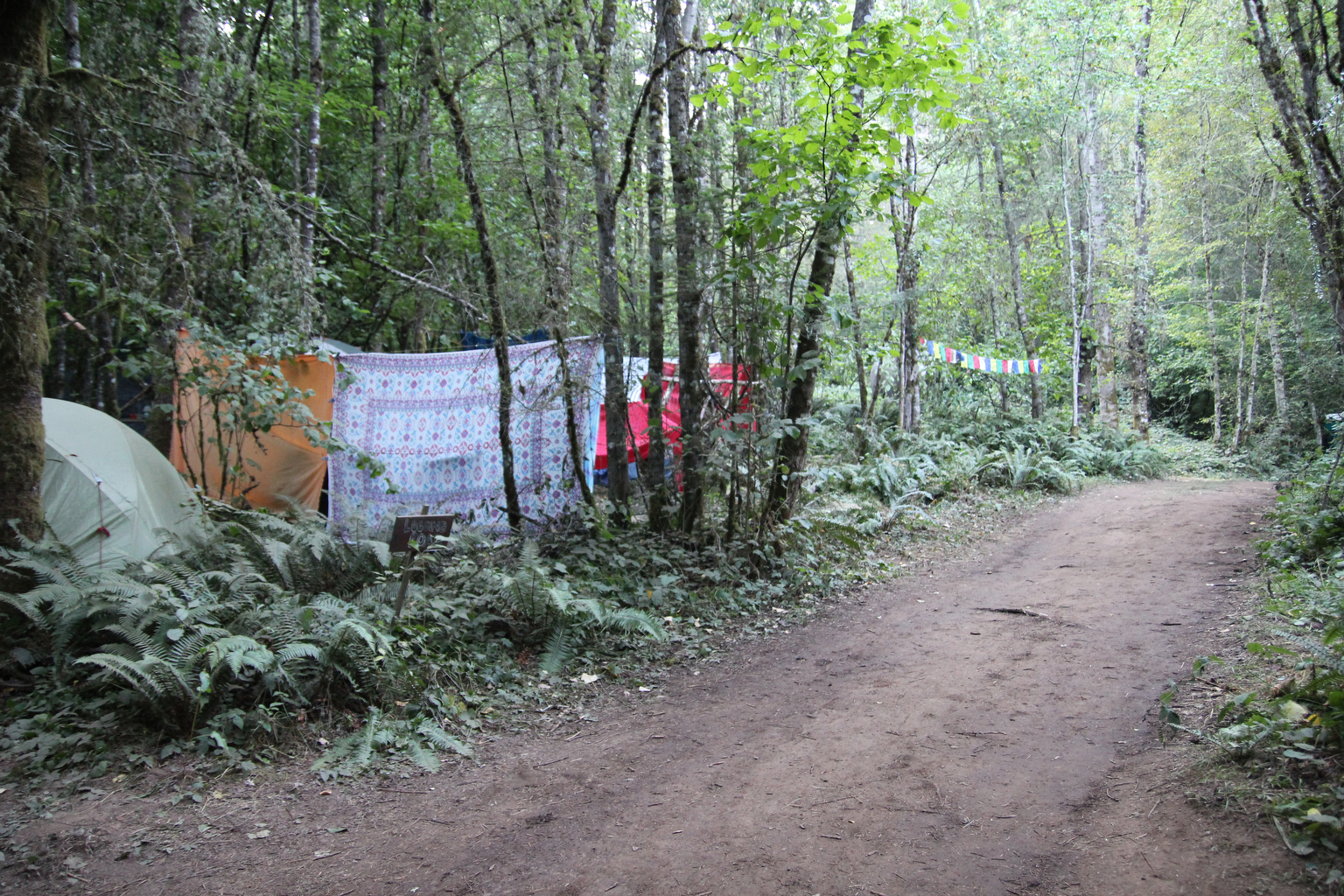 Scenes From Pickathon 2013 | Fretboard Journal
