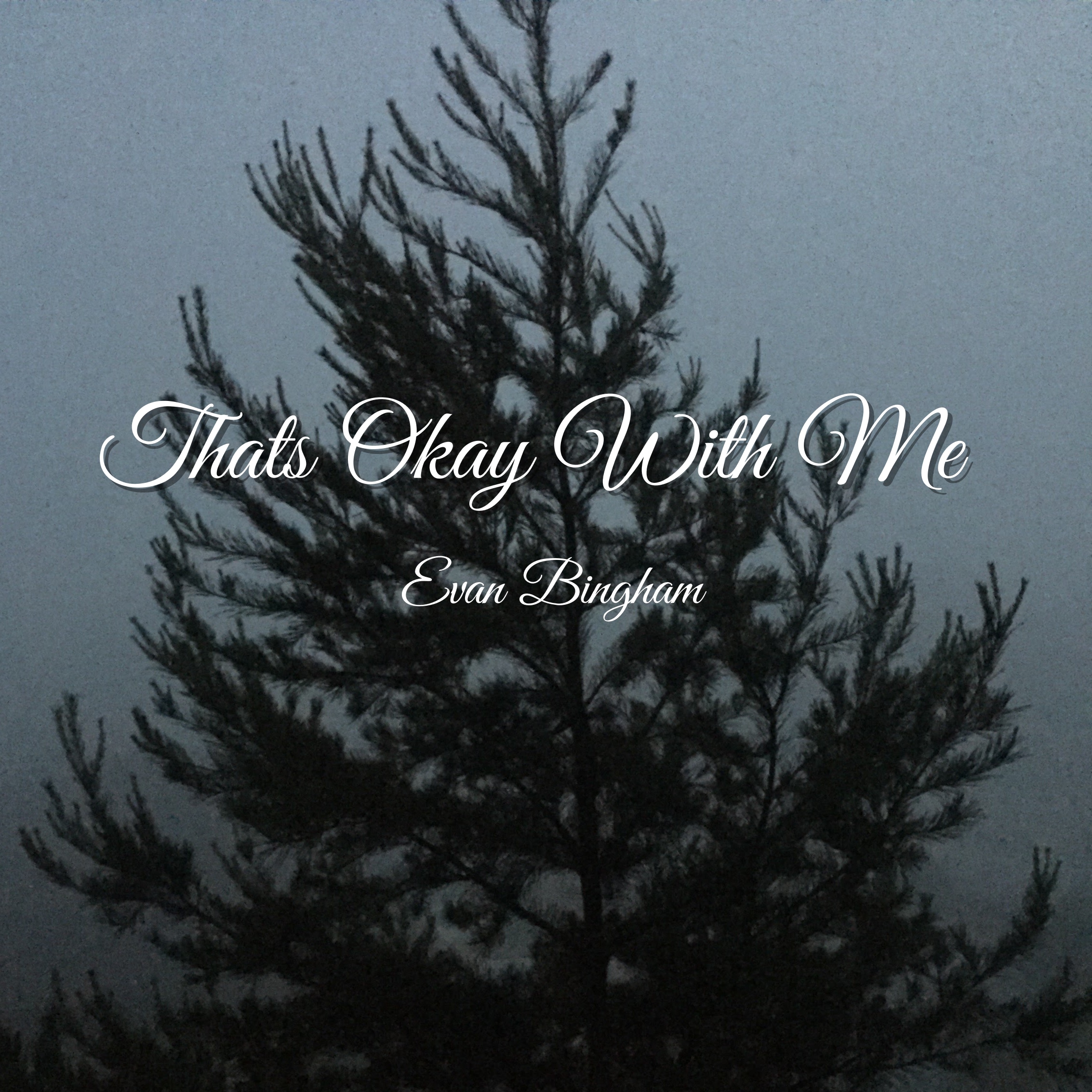 Evan Bingham :: Songwriting Pro :: Helping Songwriters Turn Pro