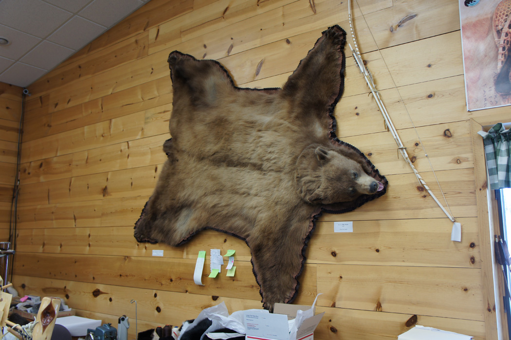 Northern exposure: An Alaskan adventure