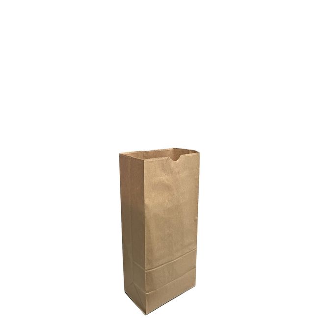 Kraft Paper DD30 Grocery Bag, 3 Pound Capacity | FoodServiceDirect.ca ...