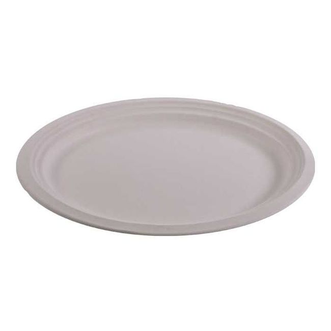 Kitch 24/7 Disposables White Oval Molded Fiber Plate| 12.5 Inch X 10 Inch