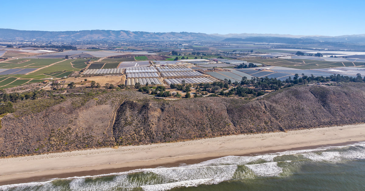 481 San Andreas Road