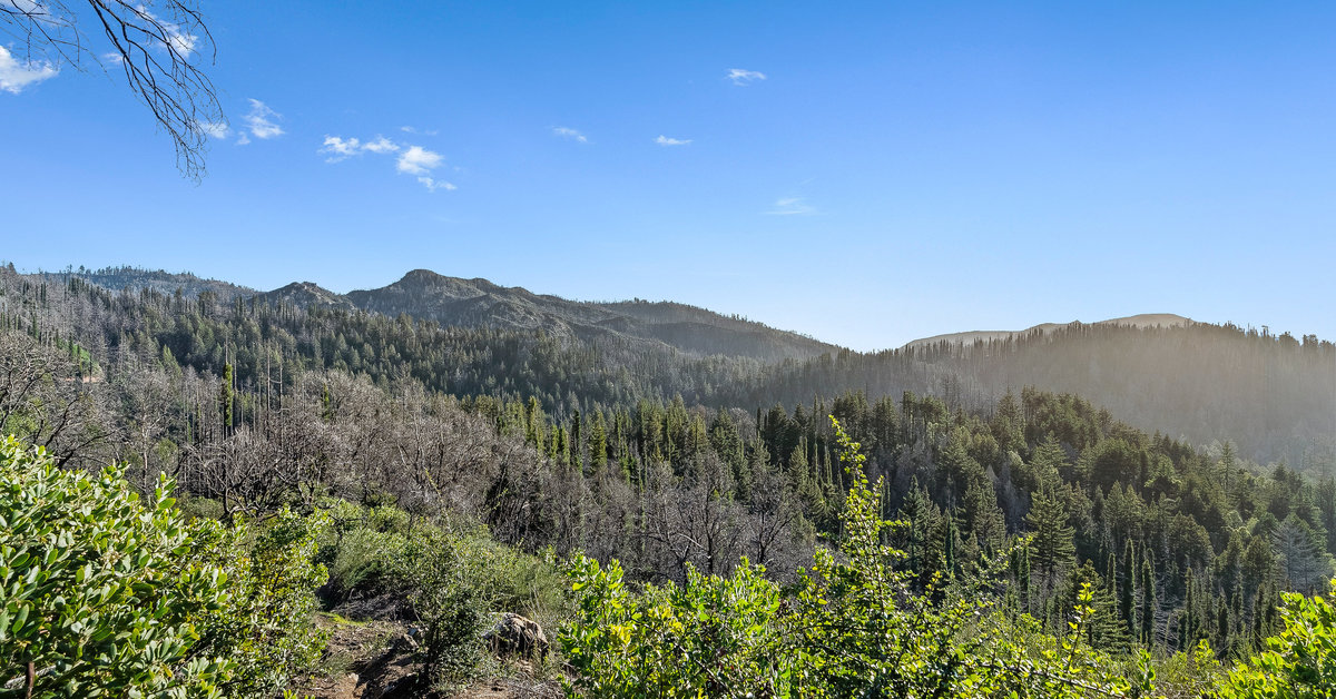 21200 Big Basin Way, Boulder Creek, CA 95006 | Rela