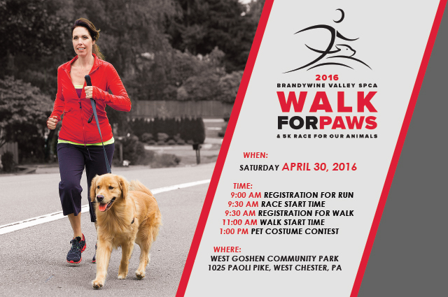 Walk for Paws 2016 | Fundly