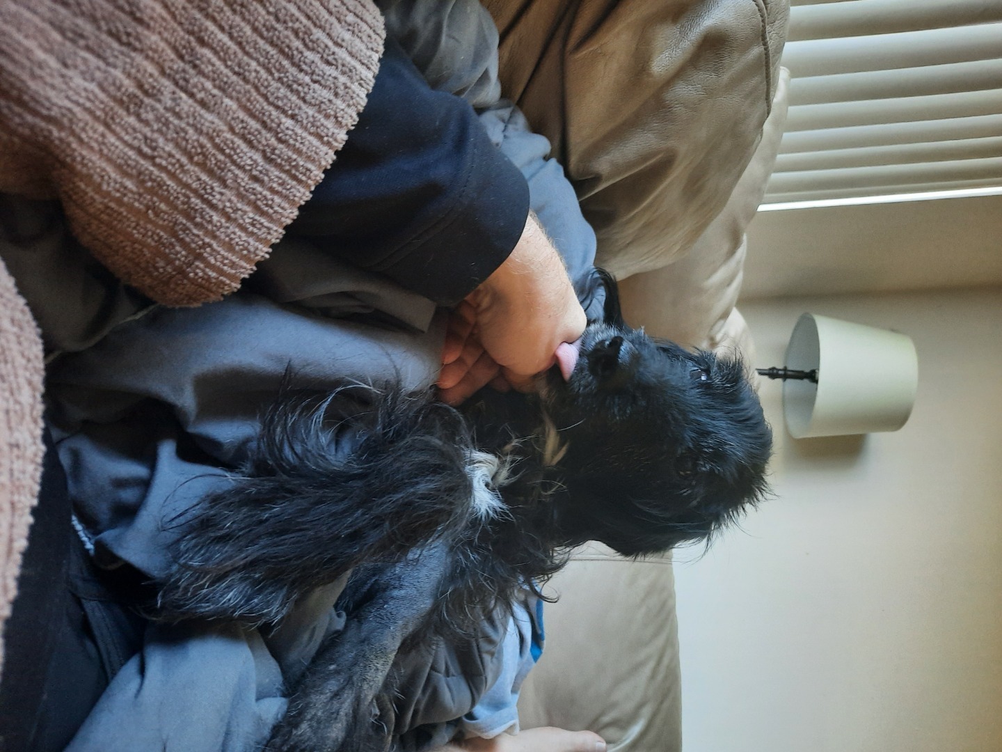 My dogs euthanasia and cremation | Fundly