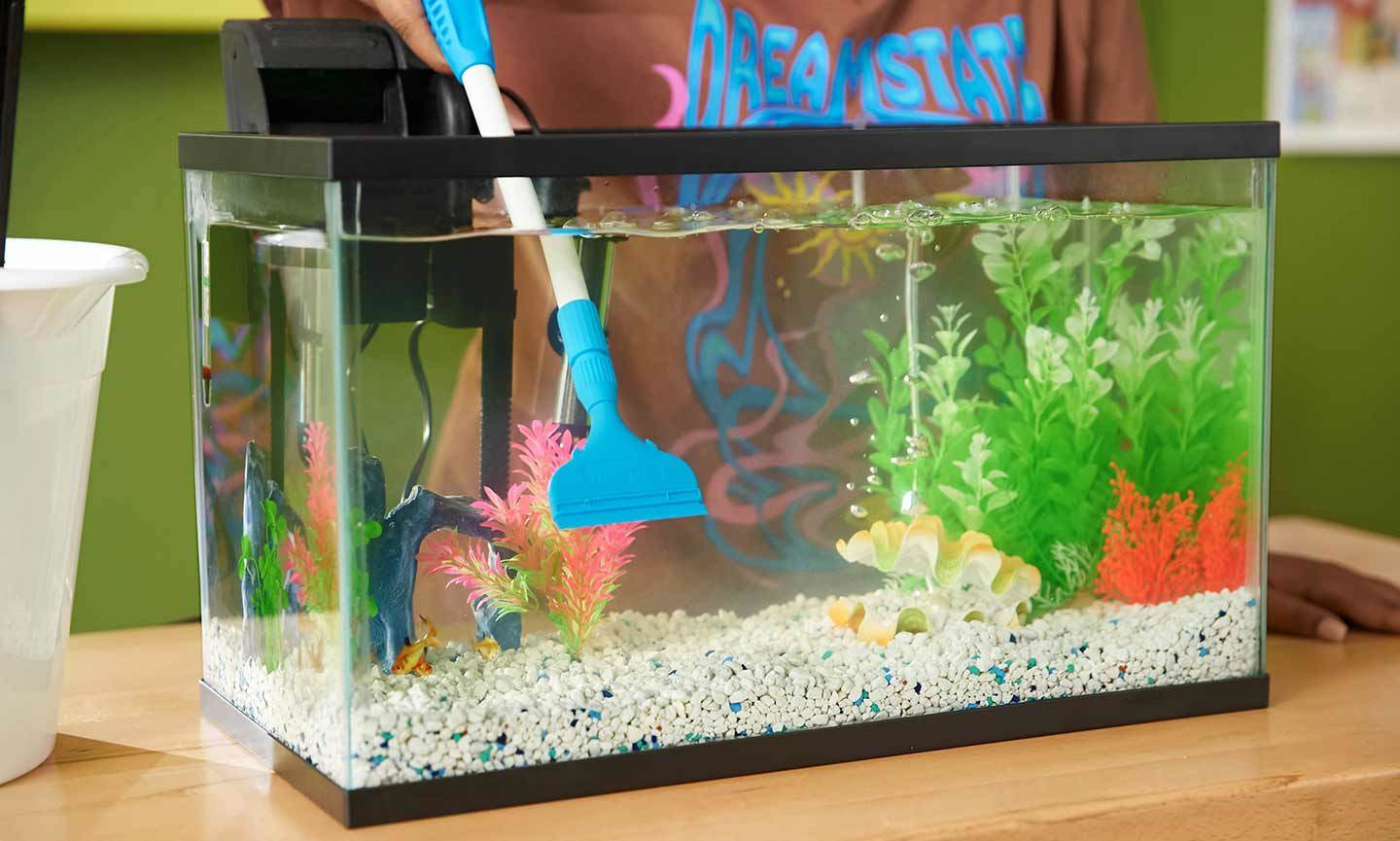 How to Clean a Fish Tank Without Removing t... | Fundly