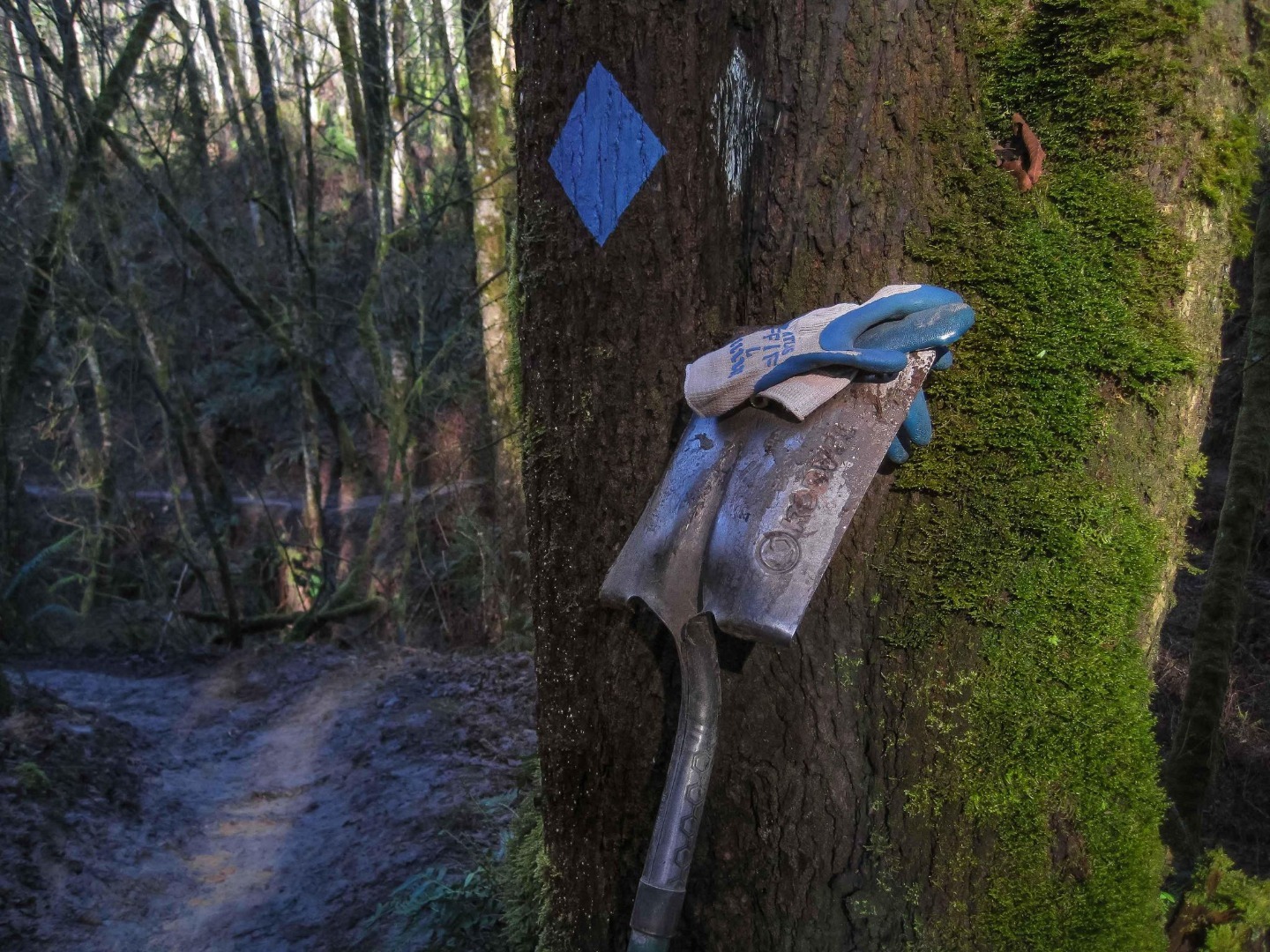 Run Forest Run Fundraiser for Forest Park C... | Fundly