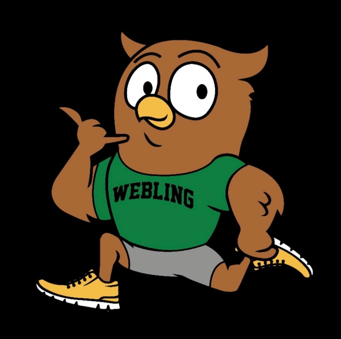 Webling Walk 2019 | Fundly