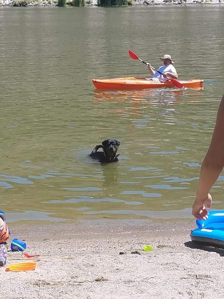 Lose a Leg, Save a Life | Fundly