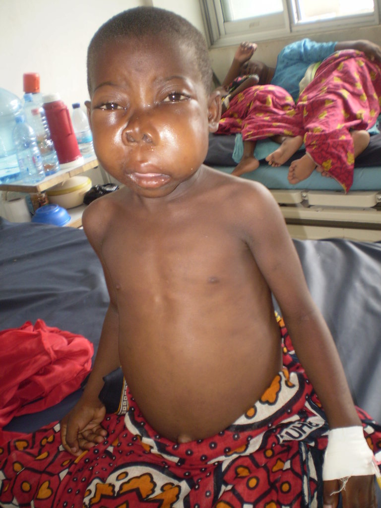 Help Save the life of Guido, a five years o... | Fundly