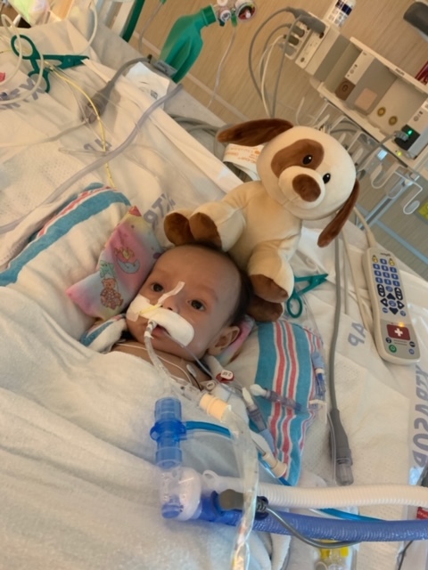 Baby Quinton Kainoa's Fundraiser | Fundly