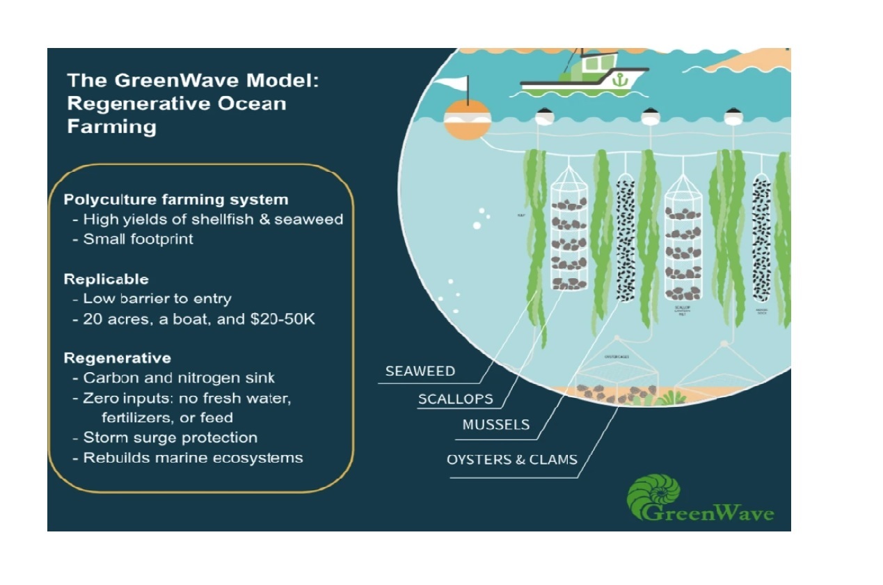 Regenerative Ocean Farming | Fundly