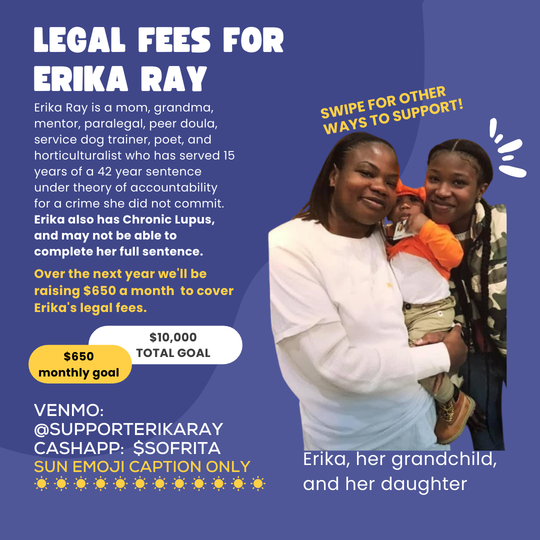 Legal Fees for Erika Ray | Fundly