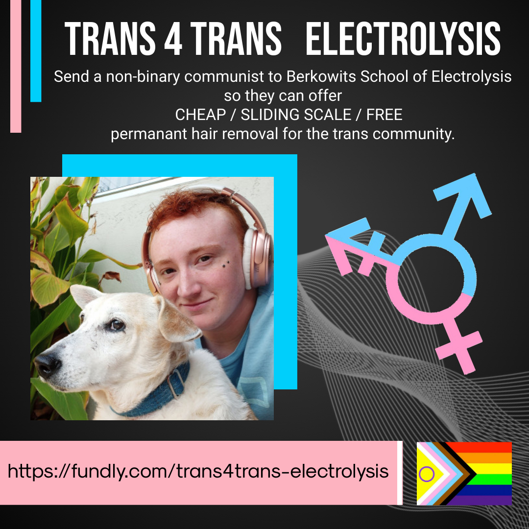 Trans4Trans Electrolysis | Fundly