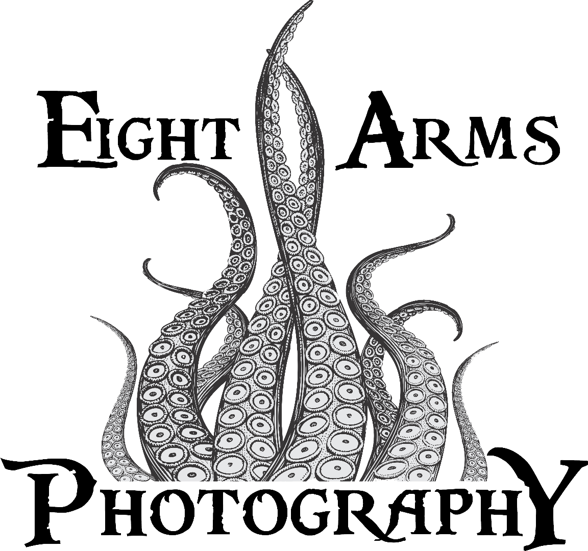 8 Arms Photography | Fundly