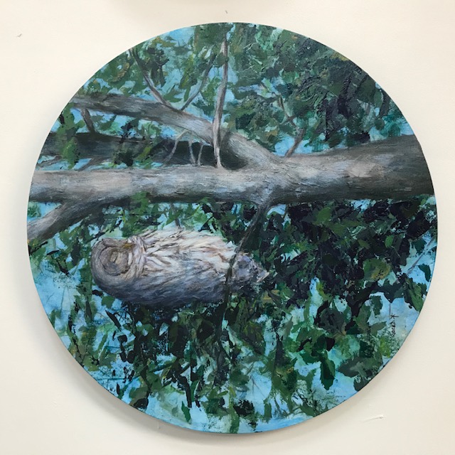 Barred Owl, by the artist Sarah Robinson | Gallea