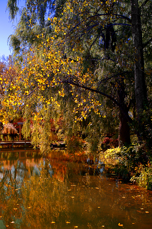 2491, by the artist Lieberman | Gallea