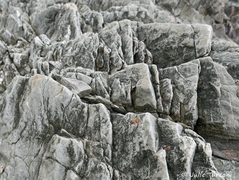 Portrait d’un troll (hommage à Terry Pratchett), by the artist Julie ...