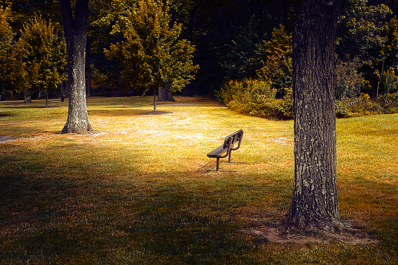 6641, by the artist Lieberman | Gallea