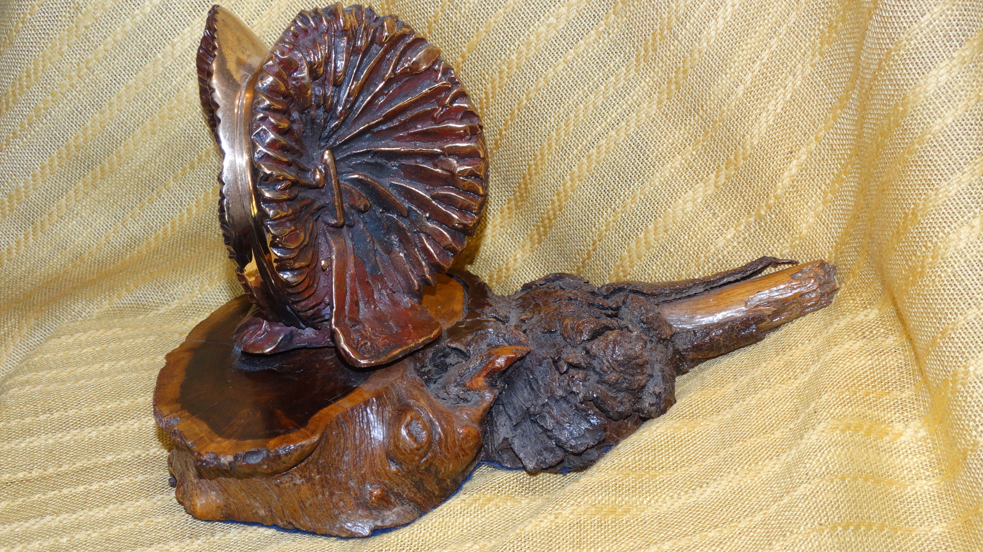 Versatility, by the artist david chettle | Gallea