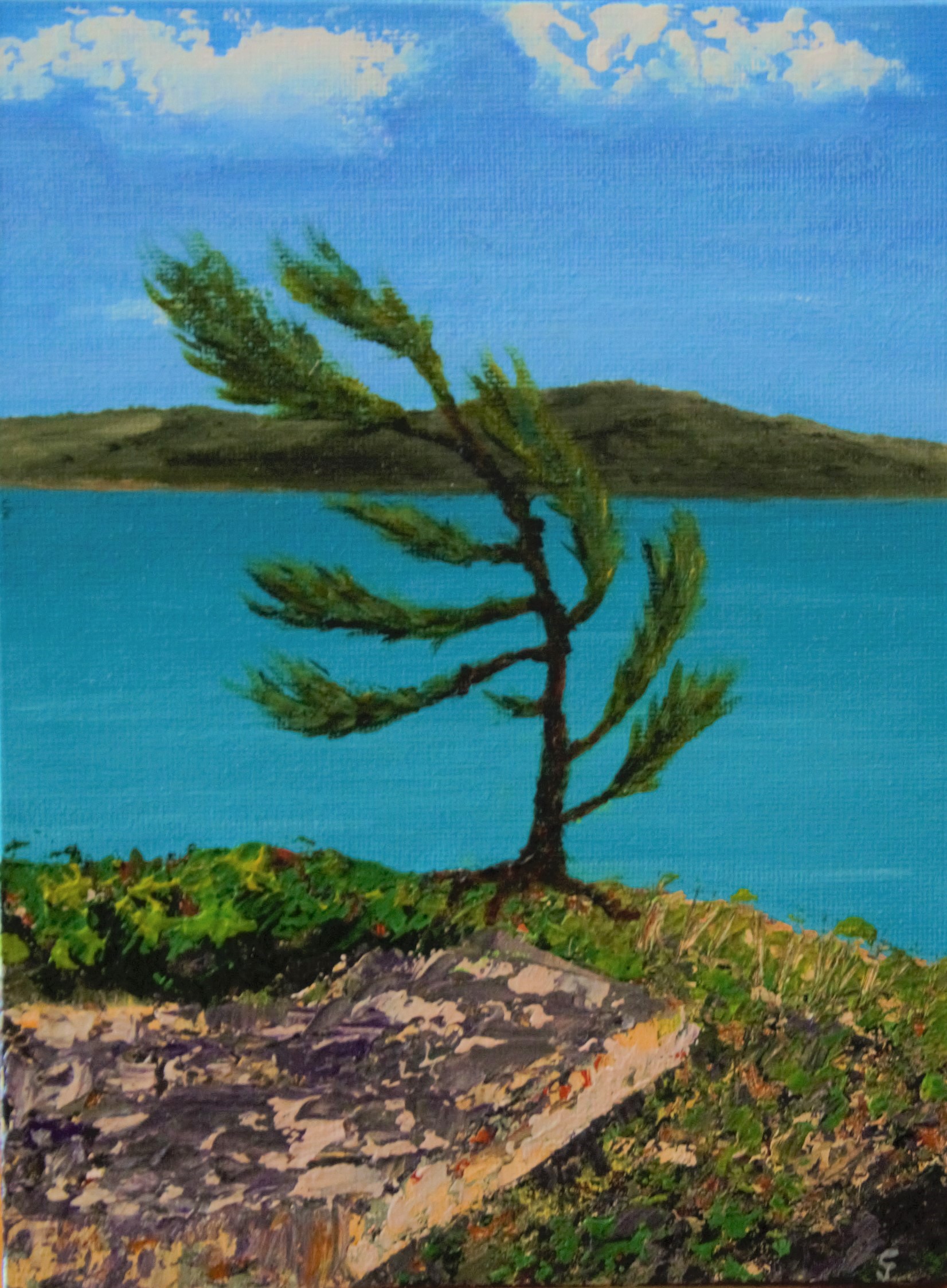 Windswept, by the artist Cj Art Designs | Gallea