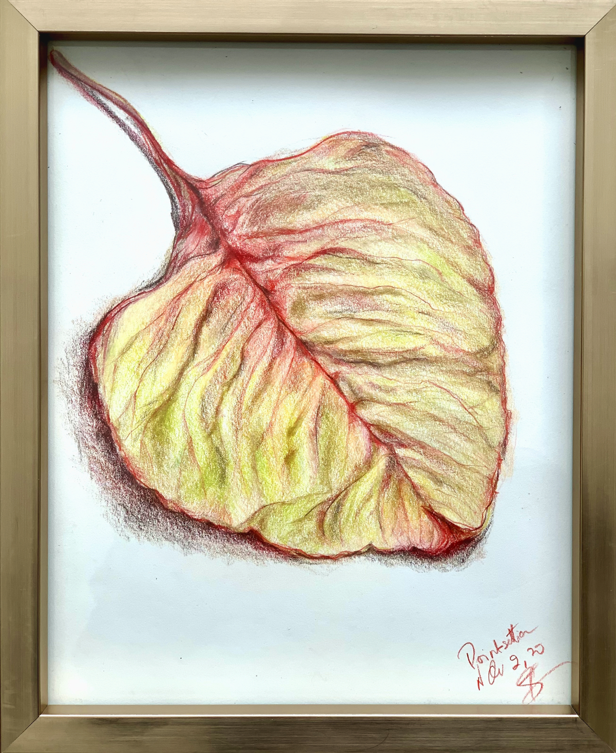Pointsettia, by the artist Taruna Singh | Gallea