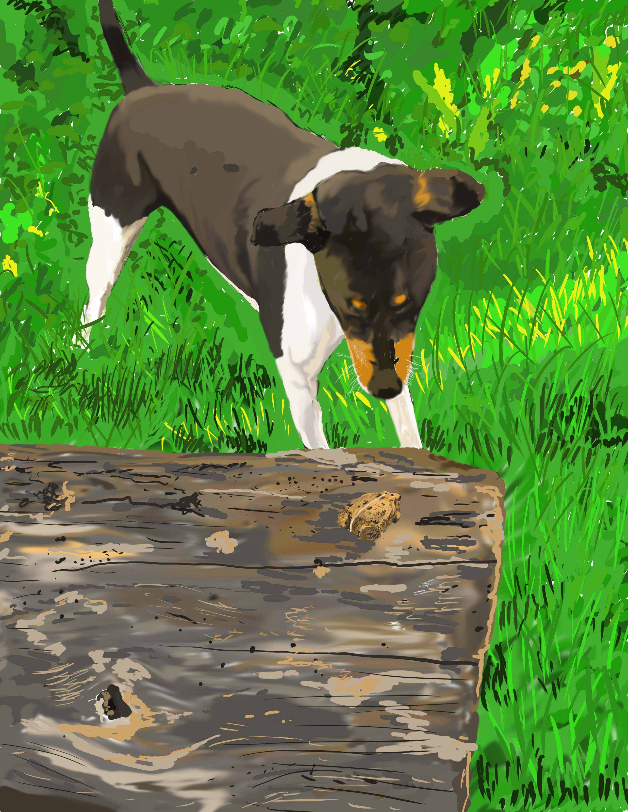 Dog and Frog on Log, by the artist Sam Dinatolo | Gallea