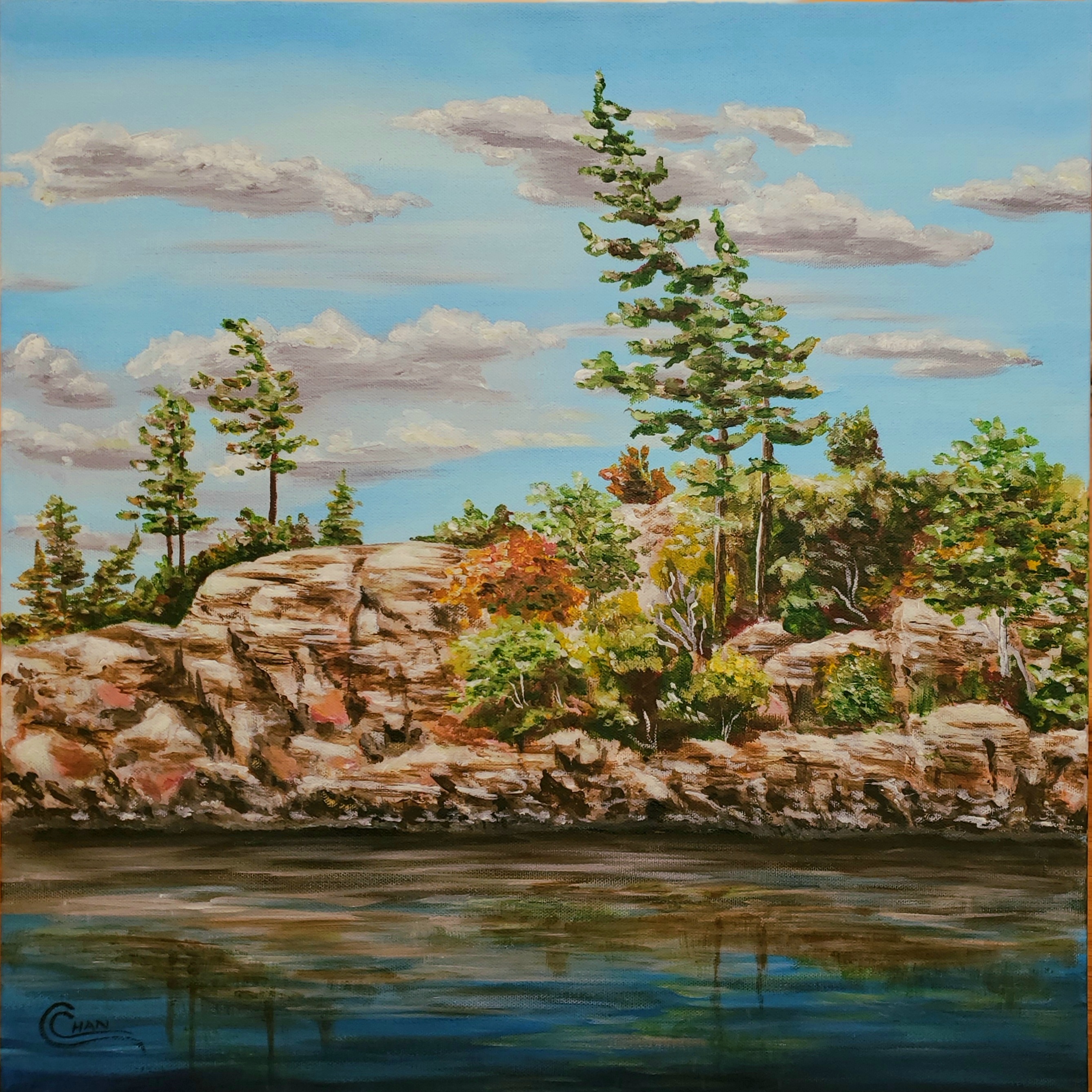 Georgian Bay, by the artist Ceci | Gallea