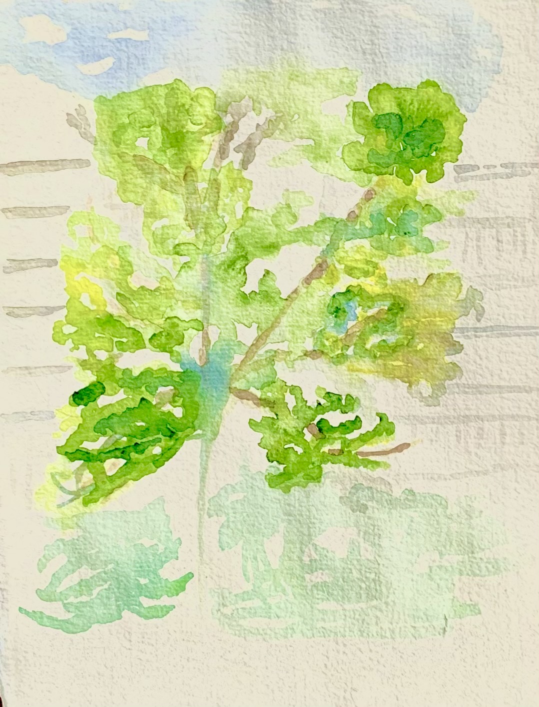 tree outside my window, by the artist Mahan Atma Kaur | Gallea