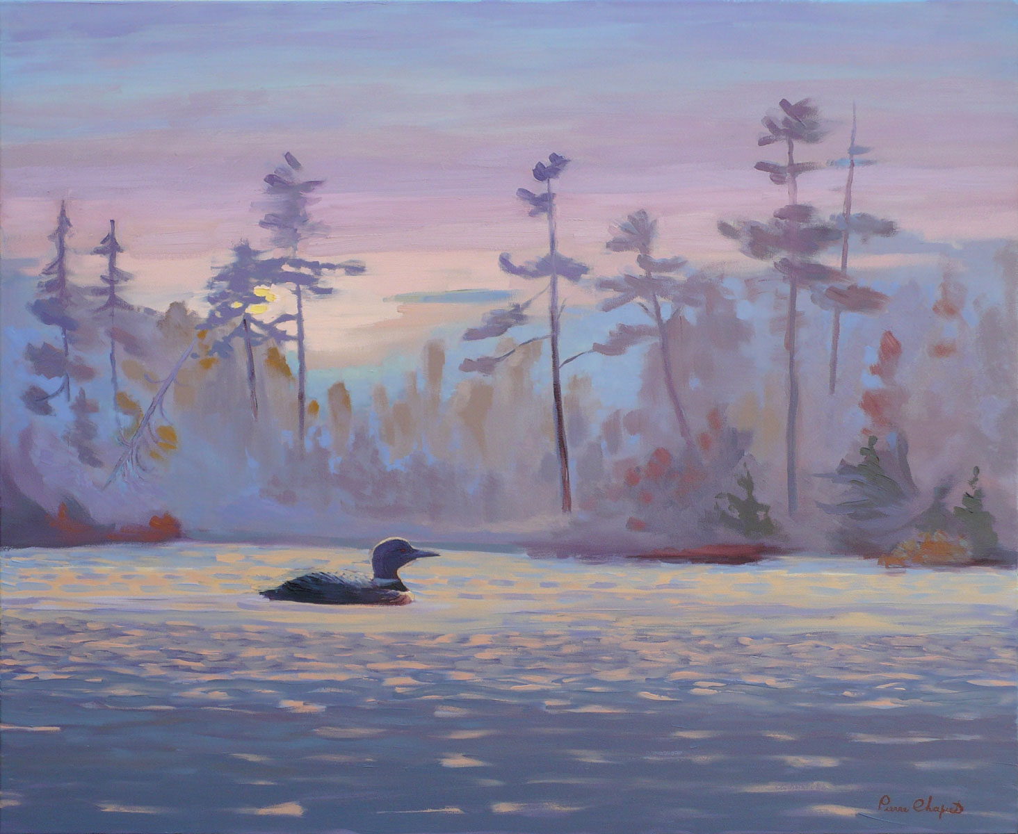 Un huard à côté de mon canot, by the artist Pierre Chaput | Gallea