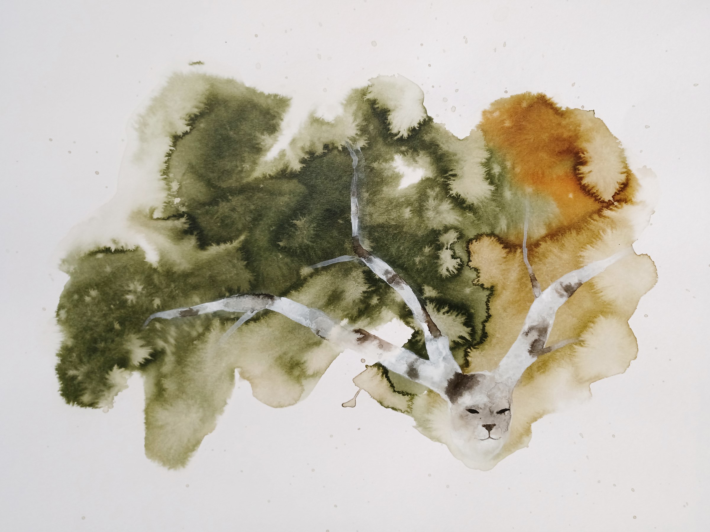 Bouleau sauvage, by the artist Marie-Claude Lemire | Gallea