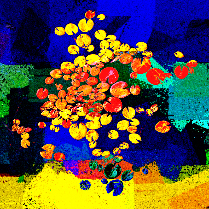 waterlillies, by the artist Lieberman | Gallea