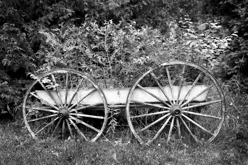 113, by the artist Lieberman | Gallea