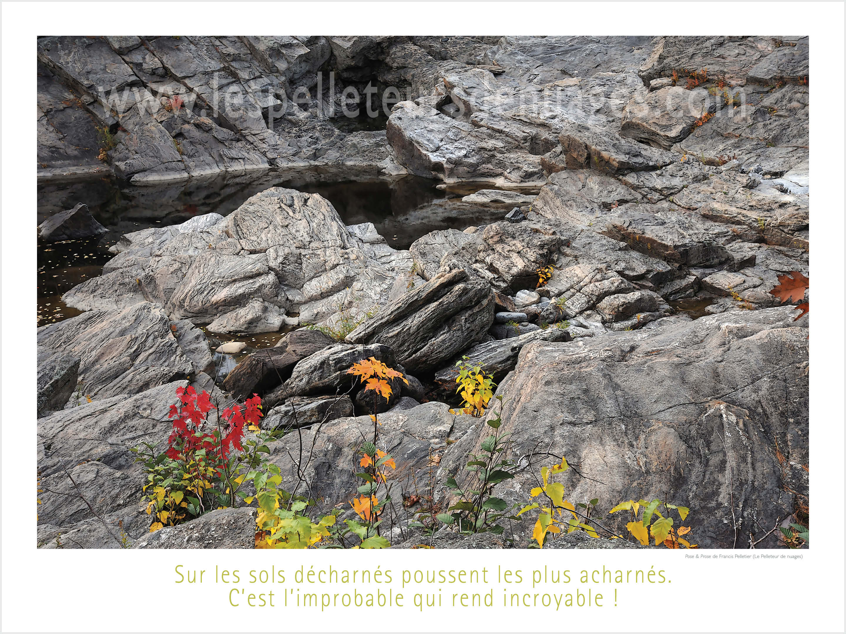 L'improbable rend incroyable!, by the artist Francis Pelletier (Pose ...