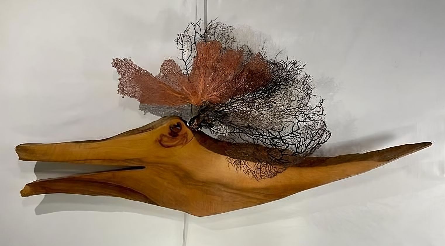 ALIGATO, by the artist Corol | Gallea