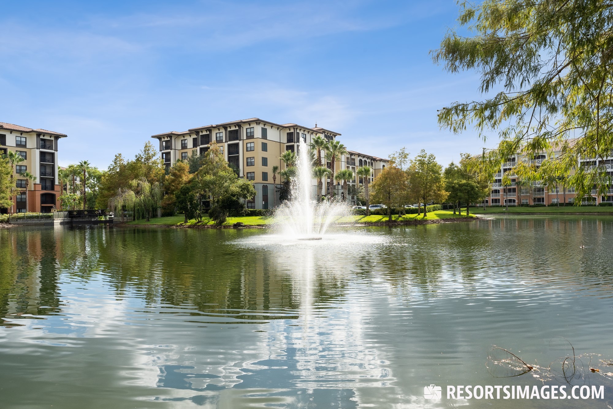 Sheraton Vistana Villages Bella Florida Villas Timeshares | Orlando, FL