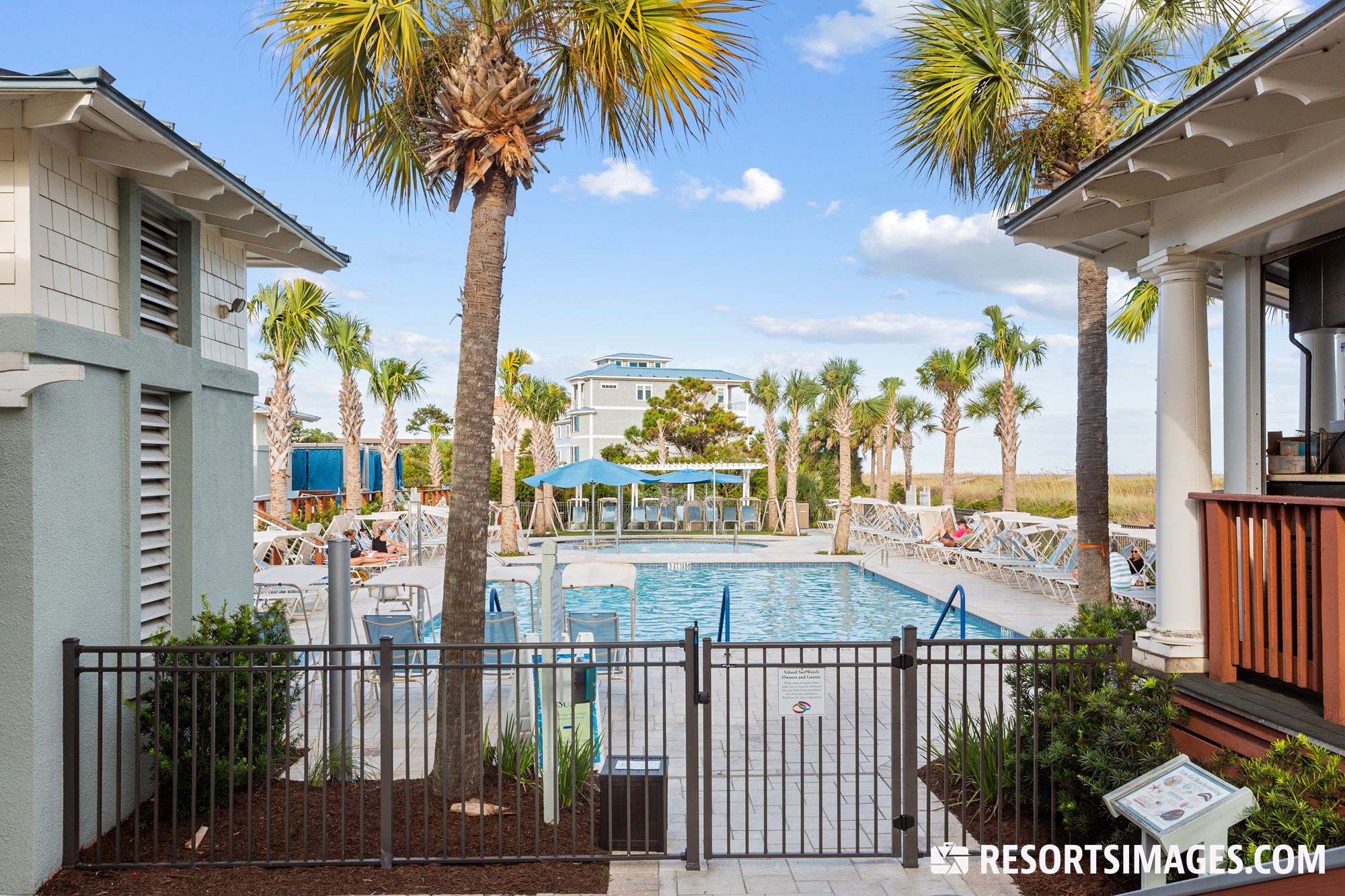 Marriott SurfWatch Timeshares | Hilton Head, South Carolina