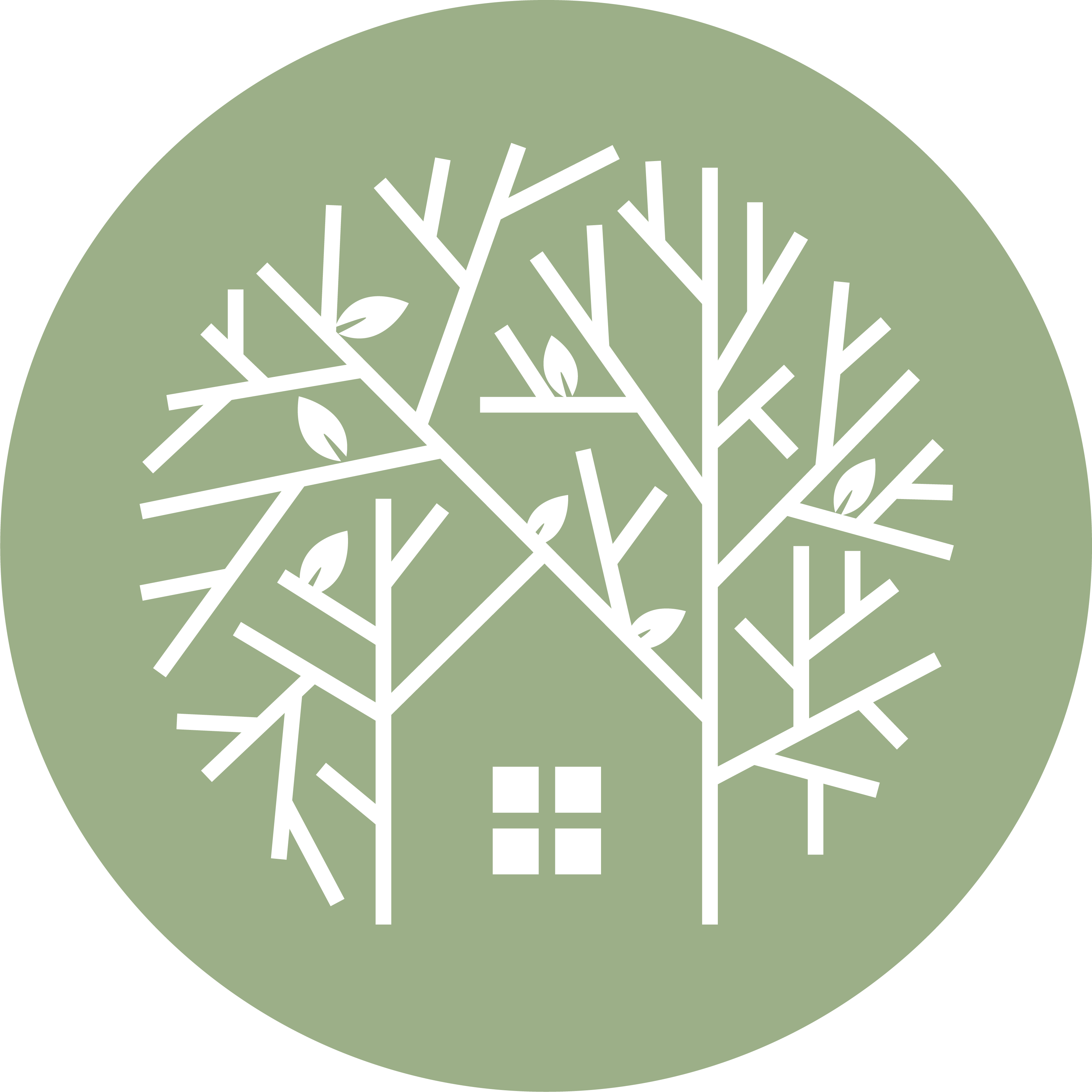 The Growing Tree Playcare & Preschool - Daycare in Bellevue, WA - Care.com