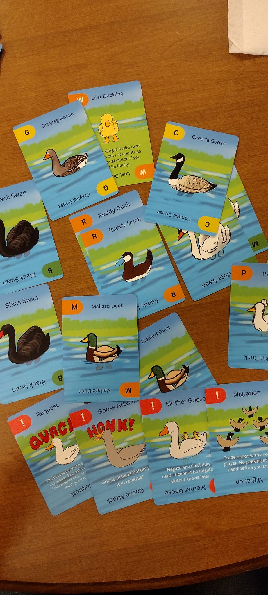 Ducks in a Row: a game of waterfowl play