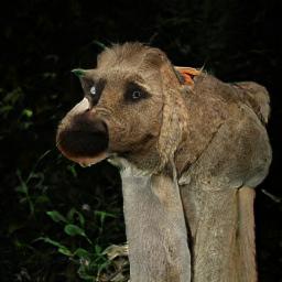 Ganbreeder: A collaborative art tool for discovering neural images : r ...