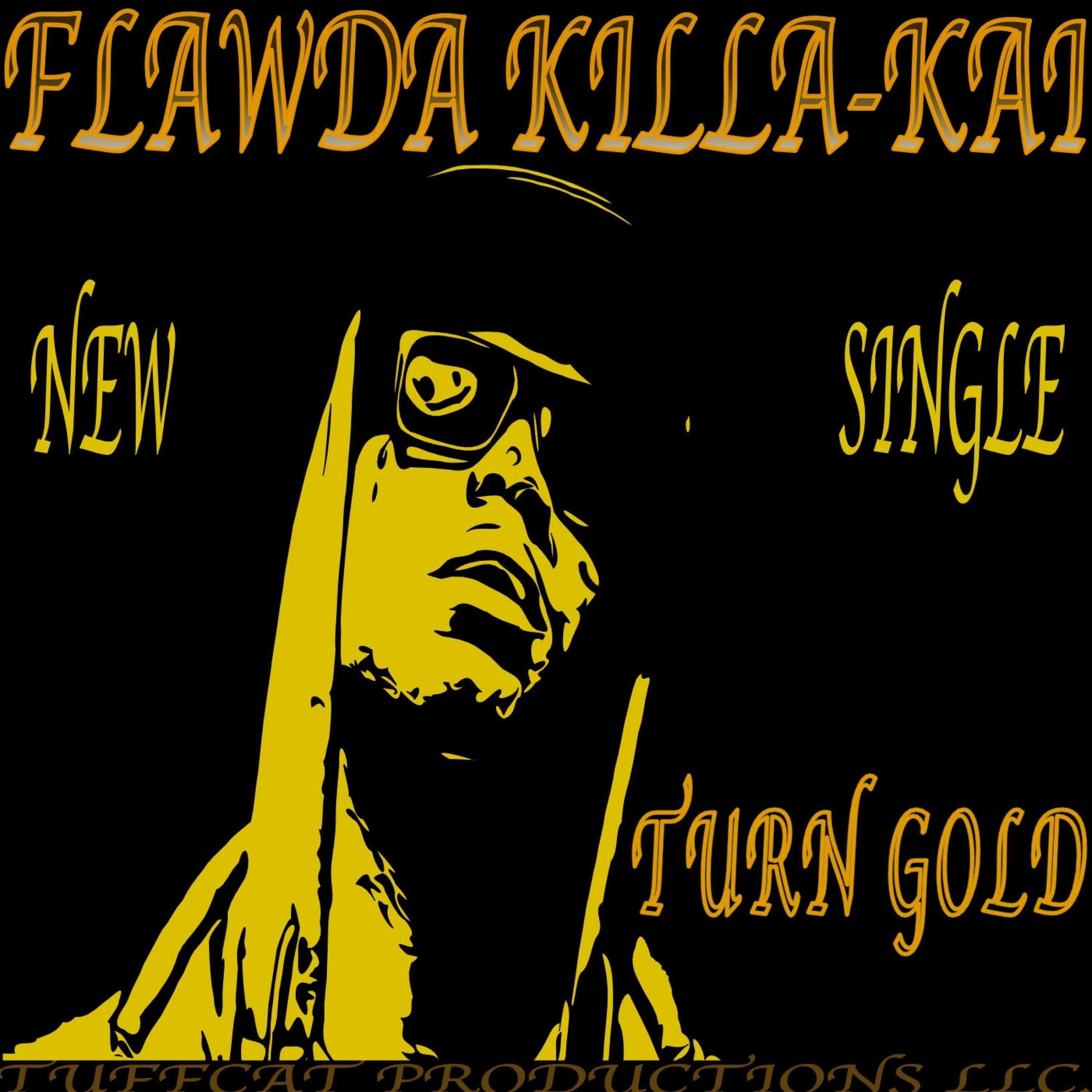Dave's analysis of Turn Gold by Flawda Killa-Kai