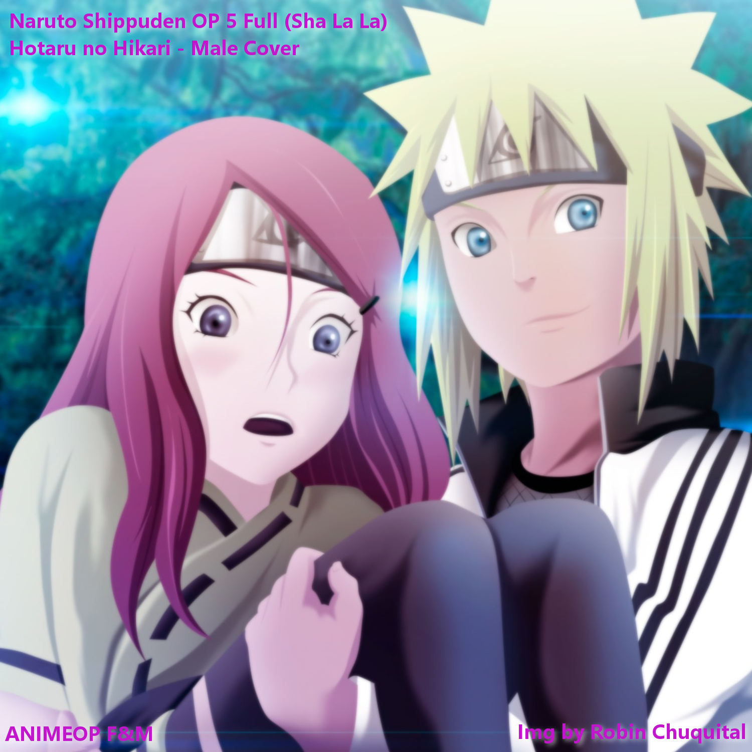 Hotaru Shippuden